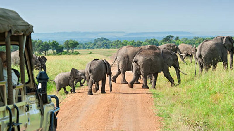3 Day Masai Mara Group Joining Safari With Mid-Range Accommodation ...