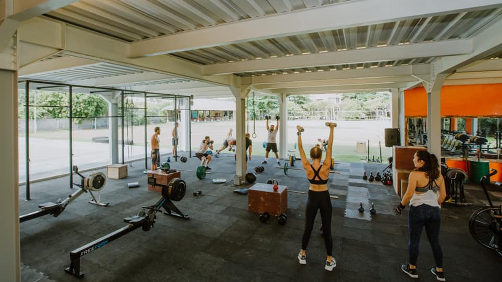 Pronoia Community, Indonesië