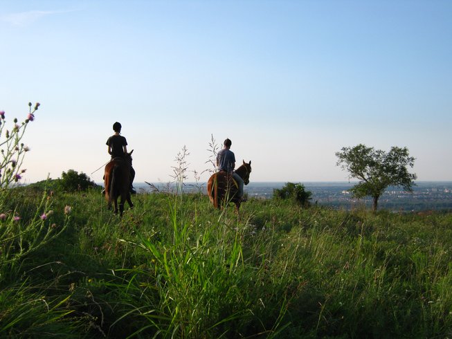 4 Days Fruska Gora Horse Riding Holiday in Vojvodina, Serbia ...