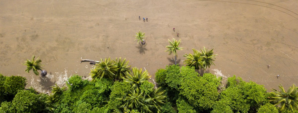 Top 10 Vegane Retreats zur Emotionale Heilung an der Bahia Ballena de ...