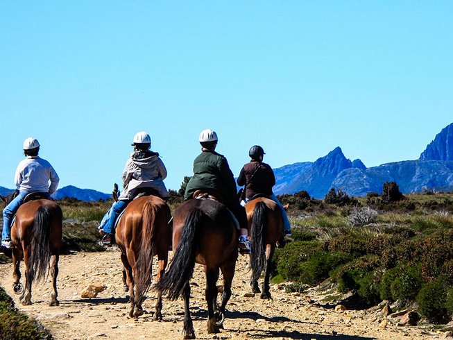 2 Days Horse Riding Holiday at Cradle Mountain, TAS, Australia ...