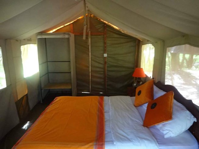10 Days Isebania Border Point Budget Safari Tour in Kenya and Tanzania ...
