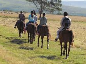 8 Day Mewar by Horseback Riding Holiday in Rajasthan ...