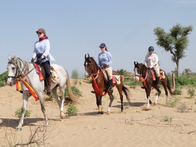 11 Days Christmas Horse Riding Holiday on Marwari Horses in Rajasthan ...