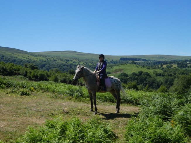 3 Days Invigorating Horse Riding Holiday in Exmoor National Park, UK ...