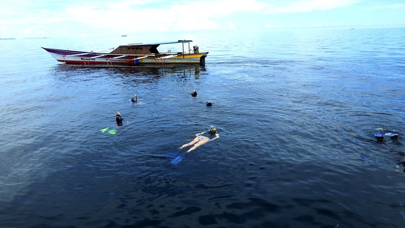 3 Day Cenderawasih Bay National Marine Park Whale Sharks Watching ...