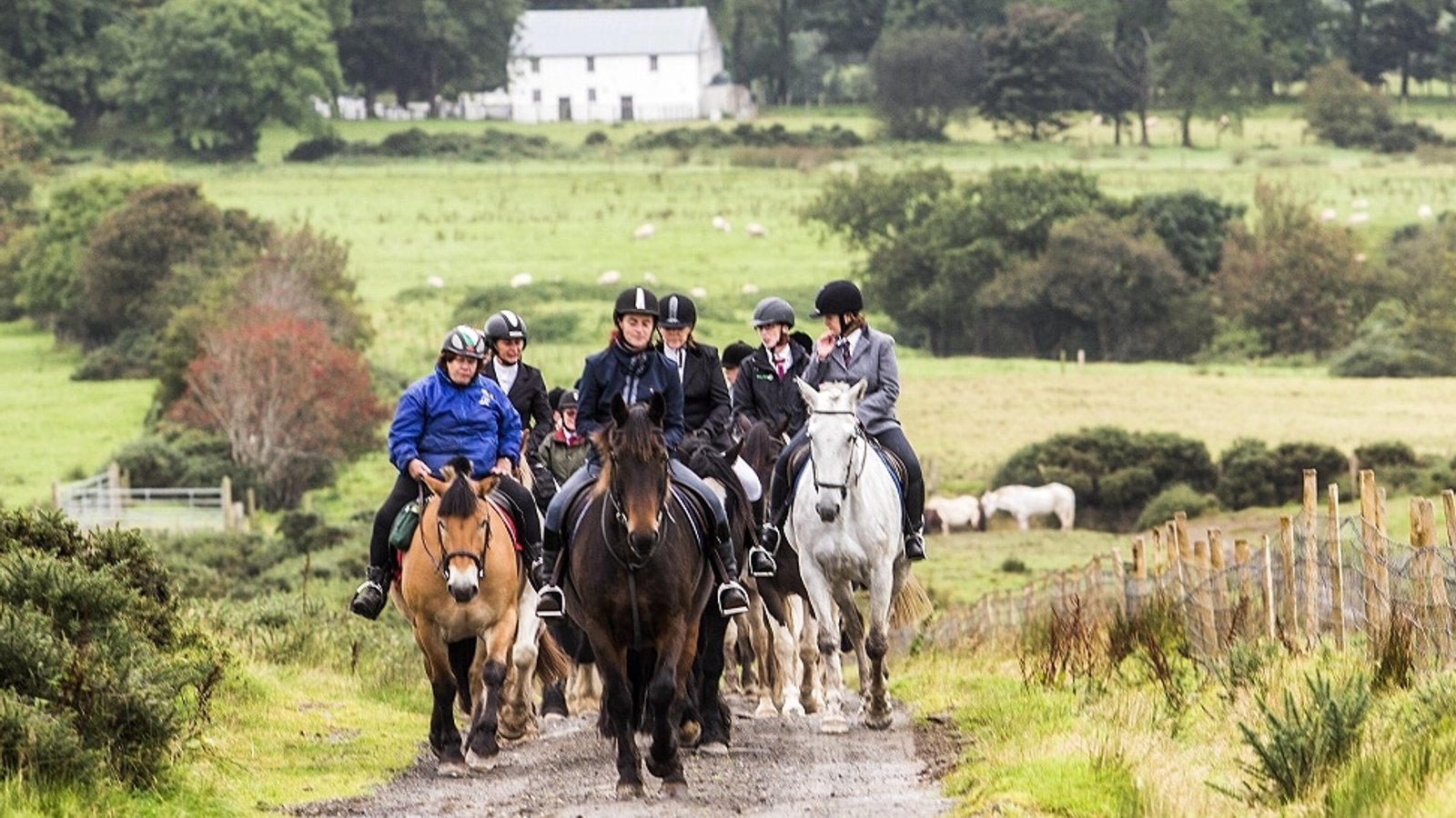 Bespoke Equestrian Ireland, Vereinigtes Königreich
