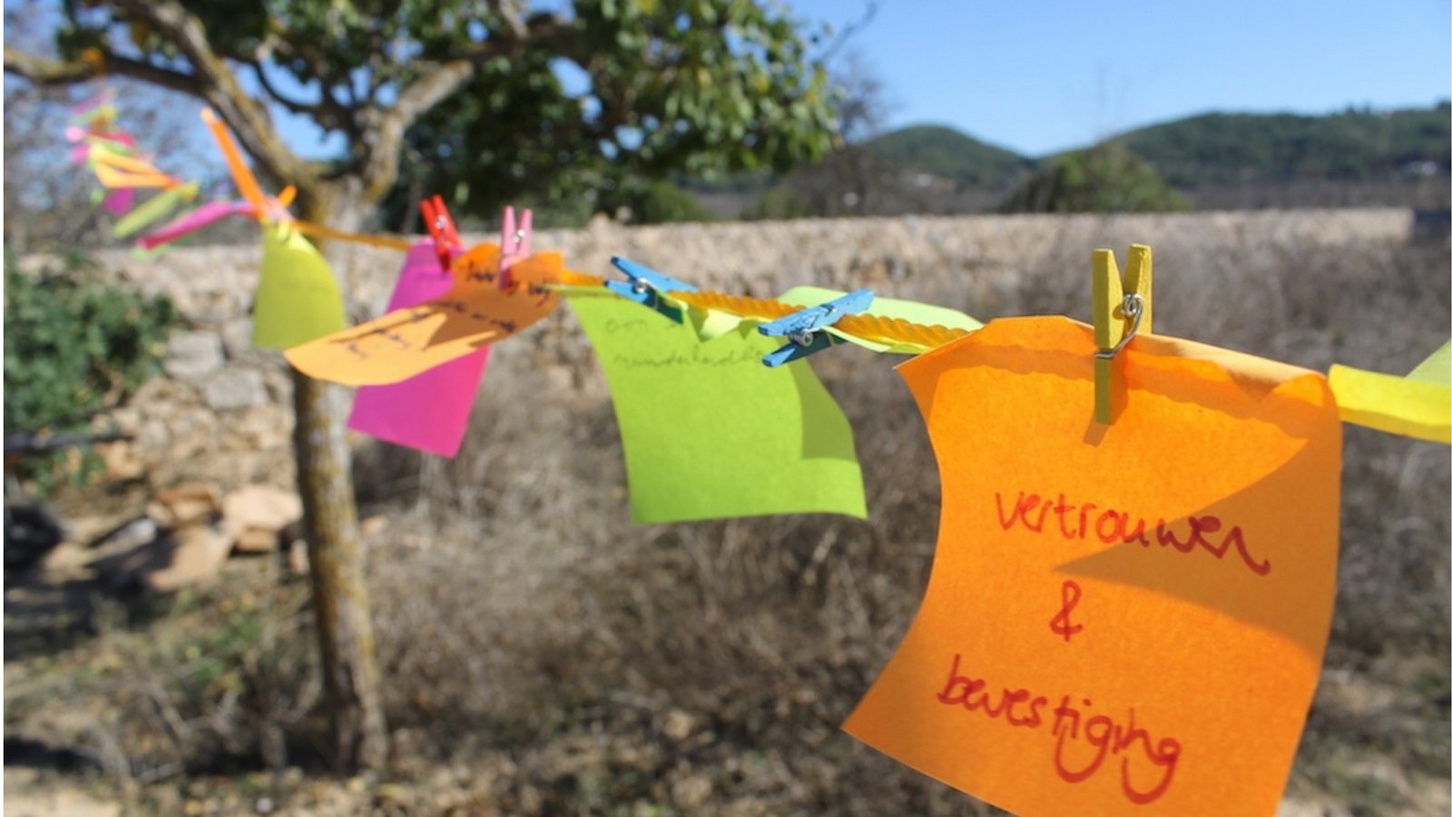 Winter Paradise, Niederlande