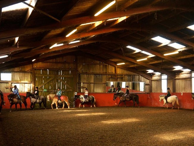 7 Days Adult Private Group Horse Riding Holiday Cornwall, UK (group of ...