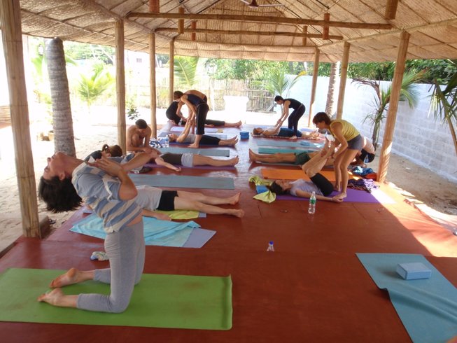 7 Days Ayurveda, Cooking, and Yoga Holiday in Kerala, India ...