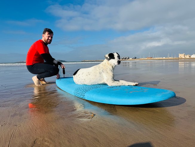 7 Day Surf Camp Experience with Coaching, Culture, and Waves in ...