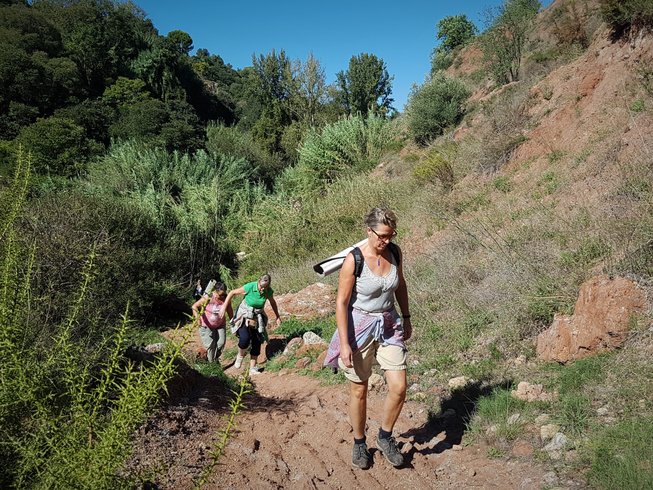 5 Day Grounding and Nourishing Silent Walking Retreat in Nature with ...