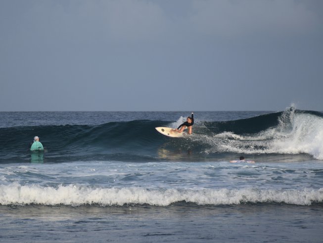 8 Day Stay and Learn to Surf in Thaa Atoll, Thimarafushi for Beginners ...