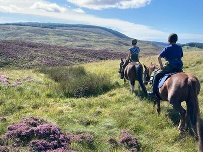8 Day Extreme Adventures Horse Riding Holiday in Kintyre, Scotland for ...
