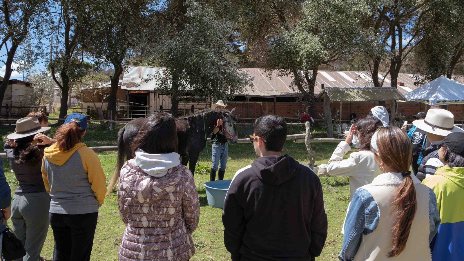 Third Eye Connections, Guatemala