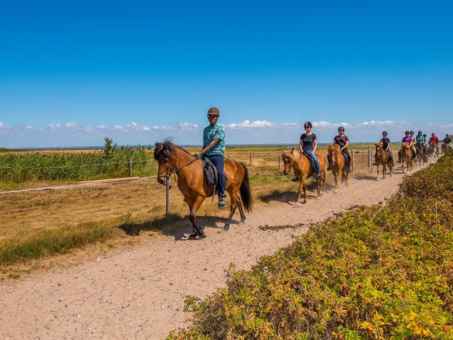 8 Day Amazing Island Horse Riding Holiday on Rømø Island ...