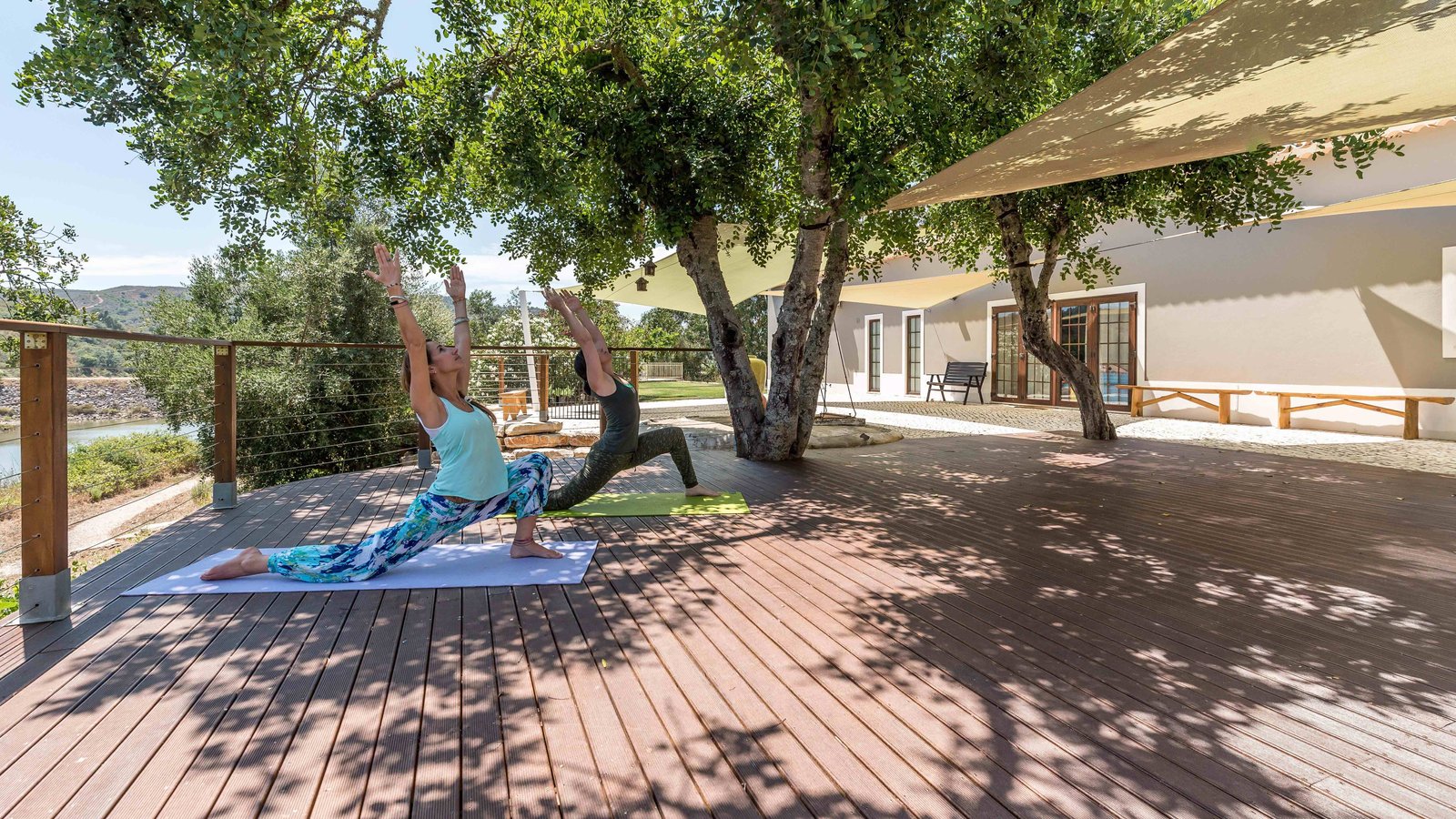 Figs On The Funcho, Portugal