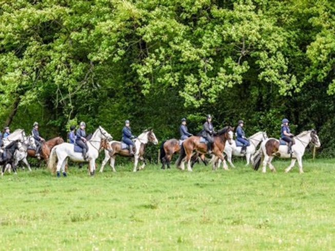 Warwick International School of Riding, United Kingdom