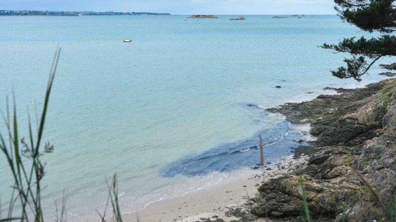 4 jours en stage de yoga Iyengar à Saint-Jacut-de-la-Mer, Bretagne ...