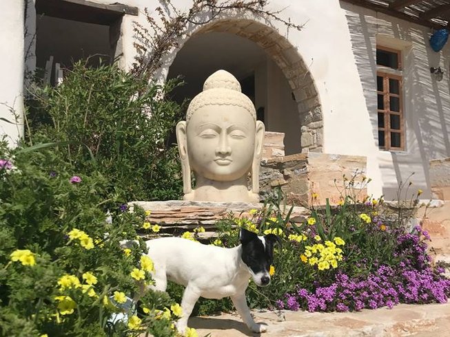 5 Days Chuck Miller Yoga Retreat in Paros Island, Greece ...