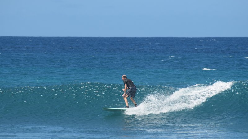 8 Day Surf Camp for All Levels in Isabela With Beachfront Stay, Lessons ...