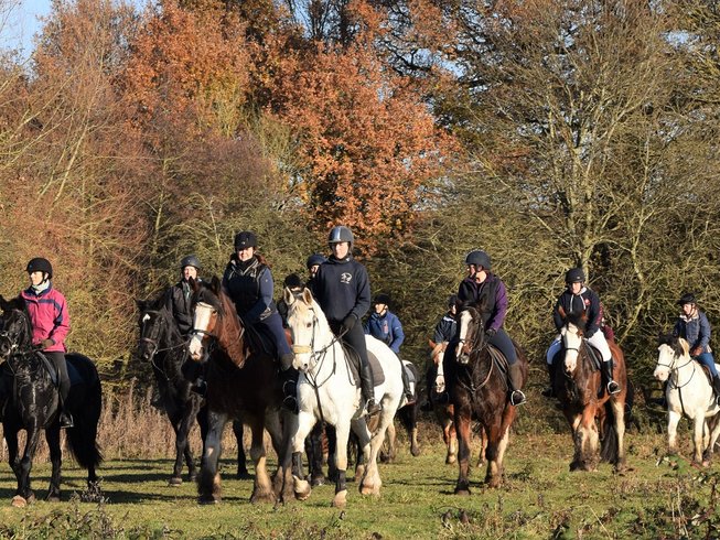Warwick International School of Riding, United Kingdom