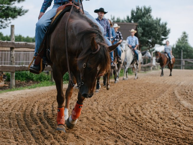 7 Days In the Saddle Horse Riding Holiday in Koziegłowy, Poland ...