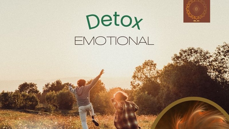 1 Month Private Emotional Detox: Release of Emotional Processes with 4 ...