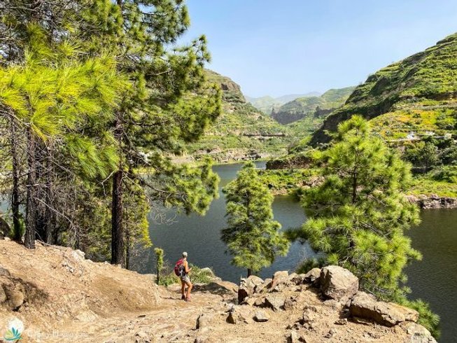 8 Day Self-Guided Individual Trek Camino Natural GR131 Hiking Tour in ...