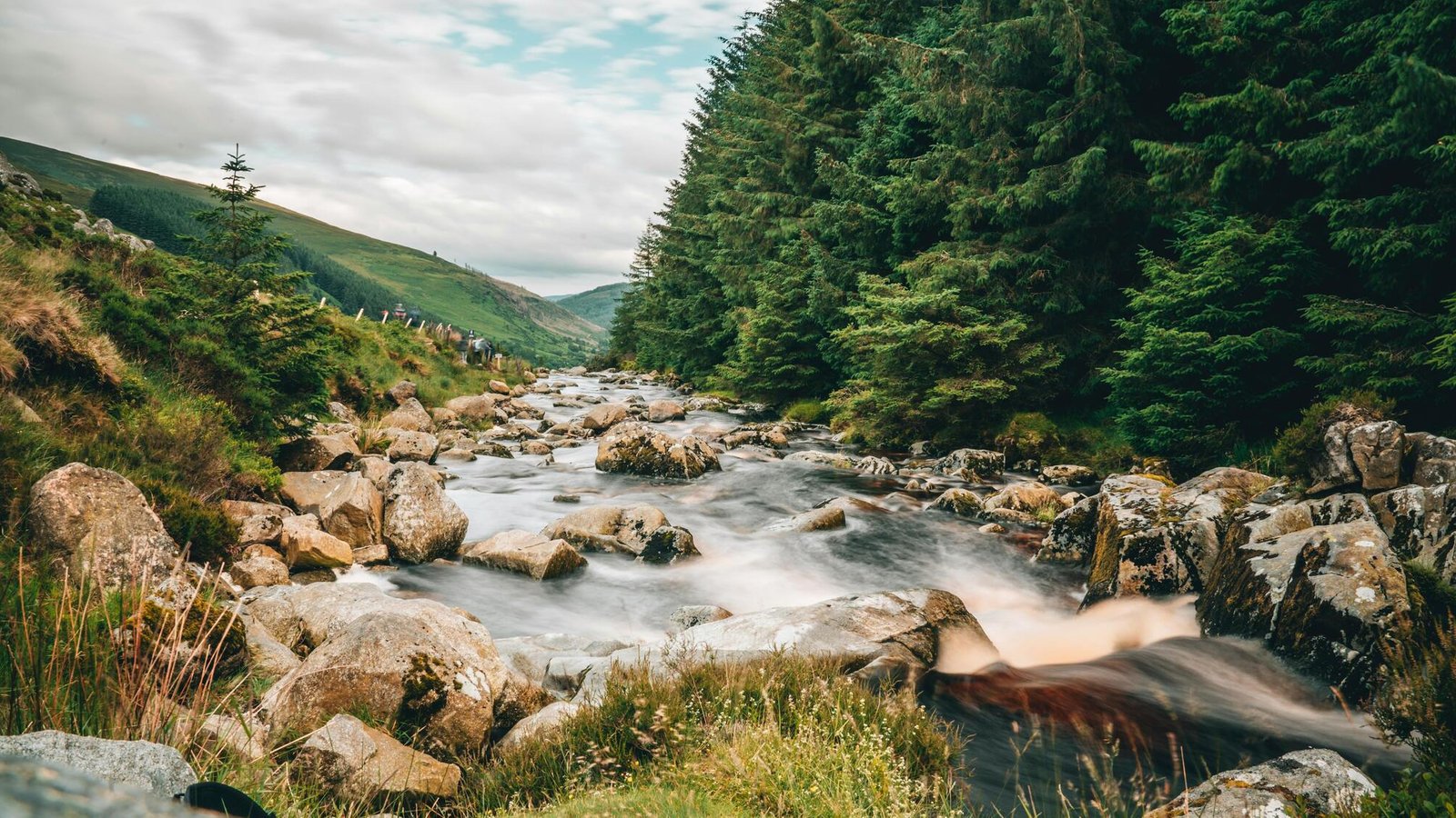 Top 10 Horse Riding Holidays in Wicklow Mountains, Ireland for 2025/2026