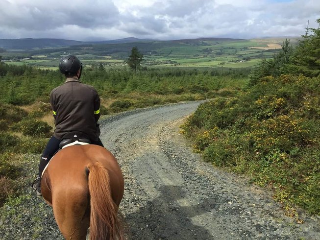 6 Day Mountain and Beach English Trail Riding Holiday in Glenealy ...