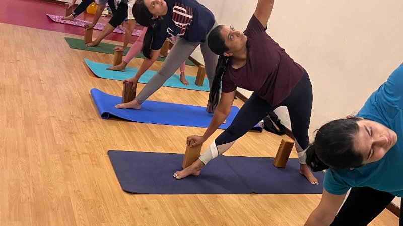 5 Online Wellness Sessions Over 35 Days With Pranayama, Mudras, and ...