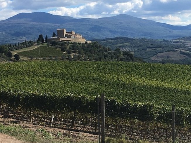 4 Day Self-Guided Cycling Tour in Val d’Orcia, Italy - Tripaneer.com