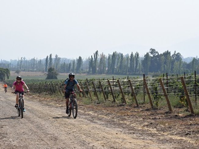 5 Day The Condor Route Cycling Tour: Wine Tastings and Majestic ...