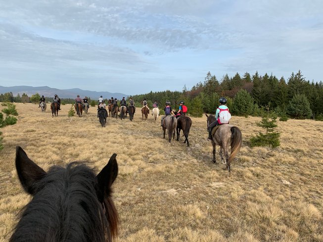 8 Days Point to Point Wonderful Transylvanian Horse Riding Adventure in ...