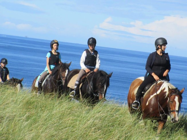 3 Day Learn to Ride Horse Riding Holiday in Bundoran, County Donegal ...