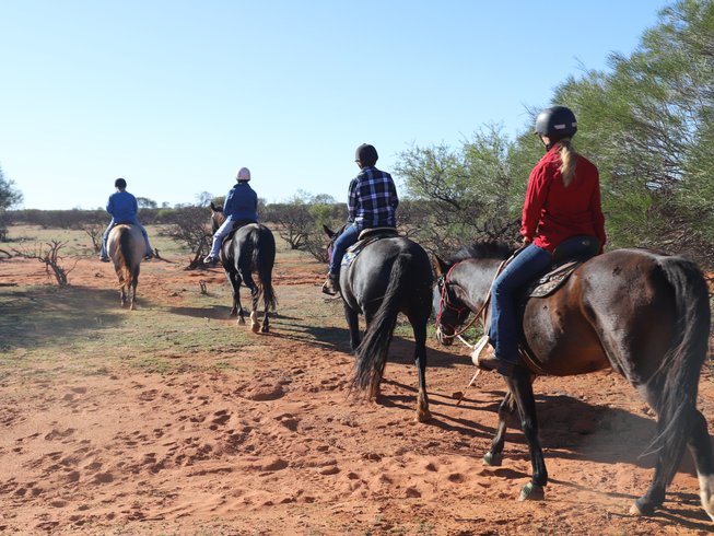 4 Day Cattle Station Experience and Bush Riding Adventure in Yalgoo ...