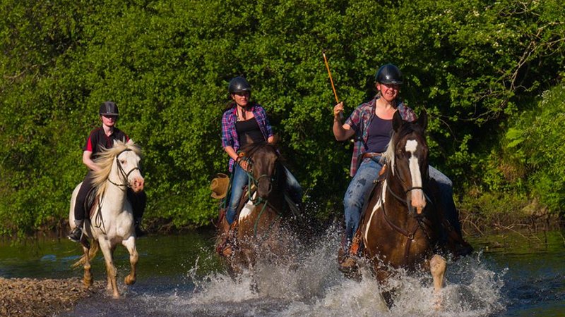 6 Day Summer Camp Horse Riding Holiday in Kenmare, County Kerry ...