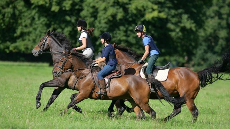 3 Days Weekend Cross Country Horse Riding Holiday in Tipperary, Ireland ...