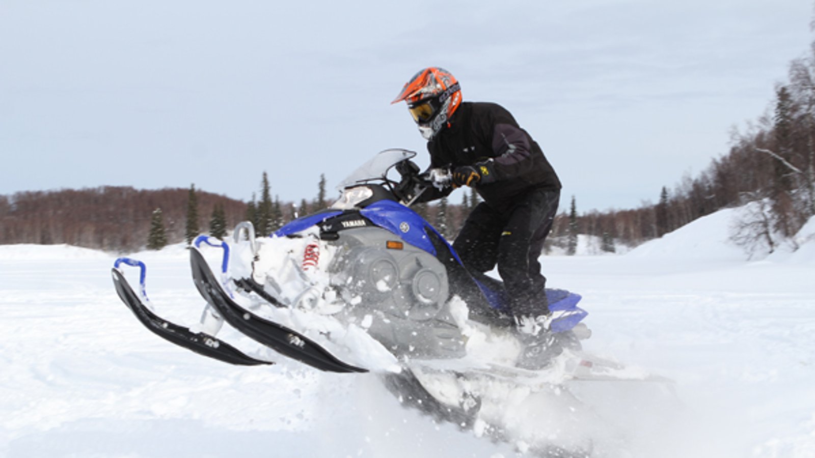 Alaska Wild Guides, United States