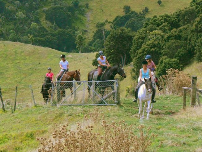 3 Days Equestrian Holiday with Dressage and Jumping Lessons in Upper ...