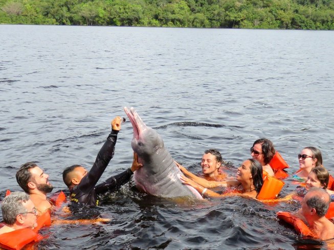 4 Day Amazon Jungle and Wildlife Tour in Juma Reserve, Brazil ...