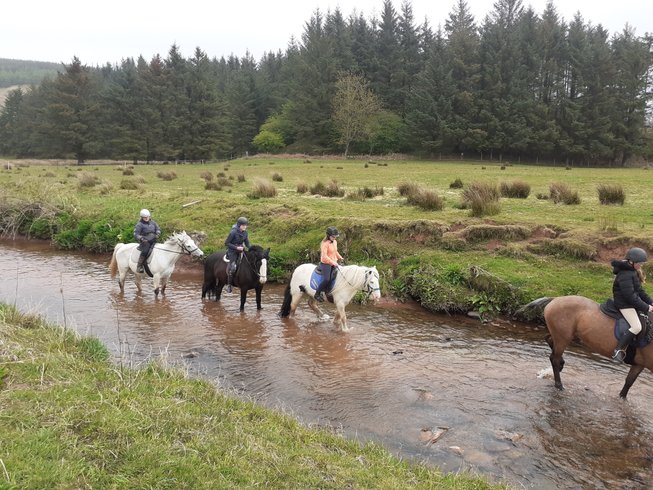 8 Day Scenic Trail Riding Holidays through Scotland's Hidden West Coast ...
