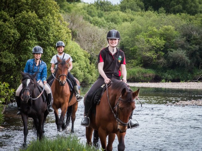 6 Day Summer Camp Horse Riding Holiday in Kenmare, County Kerry ...