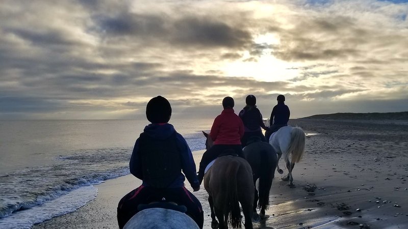 6 Day Mountain and Beach English Trail Riding Holiday in Glenealy ...
