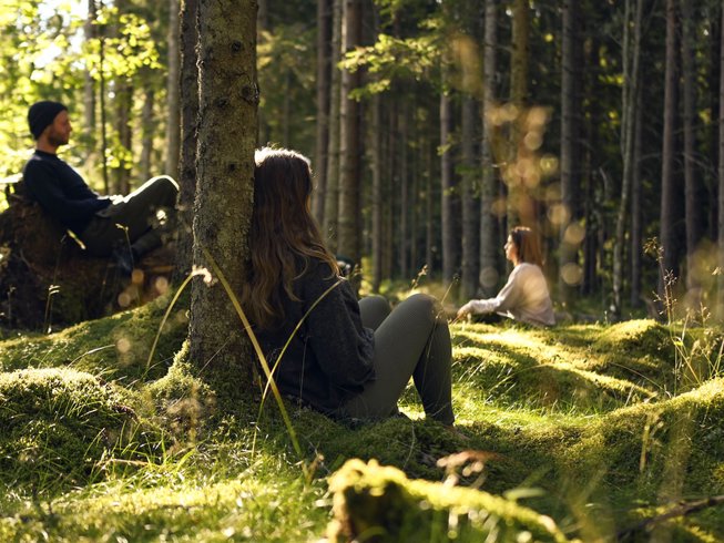 4 Day Retreat Into the Forest: Forest Therapy Retreat in Kirkenær ...
