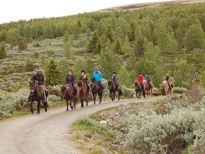 5 Days Magnificent Mountain Trail Horse Riding Holiday in Norway ...
