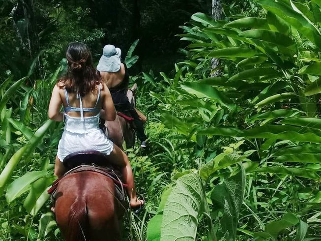 3 Days Luxury Island Stay with Horse Riding in Isla Boca Brava, Panama ...