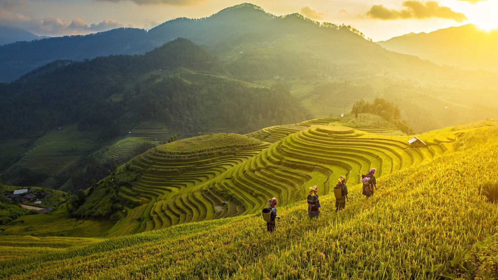 Realistic Asia, Vietnam