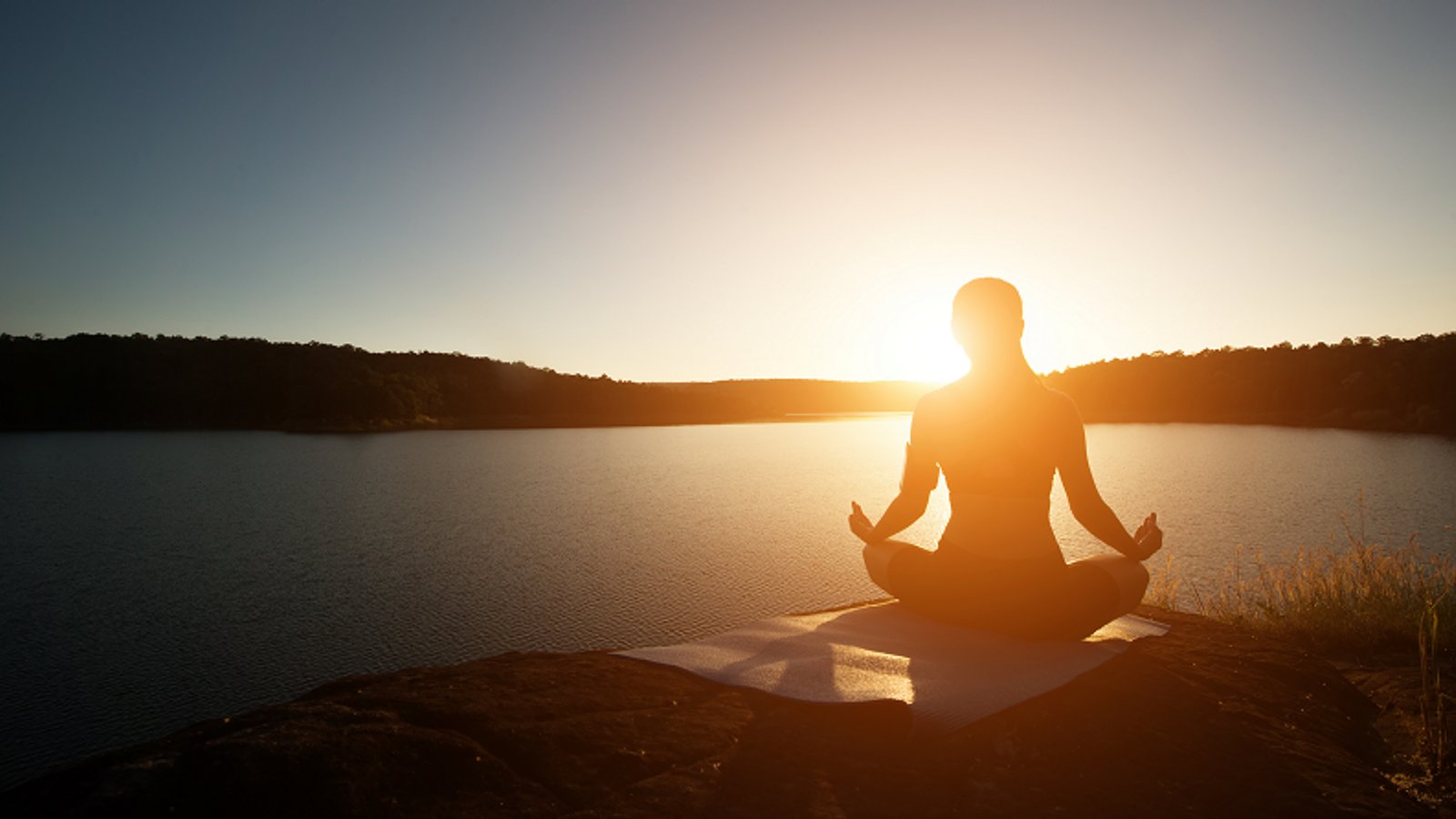 Intuitive Business Connections, Kanada
